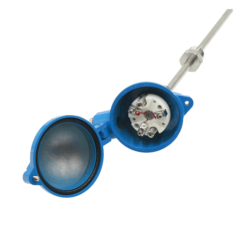Pt100 probe with interchangeable element with remote head and fitting 1 ...