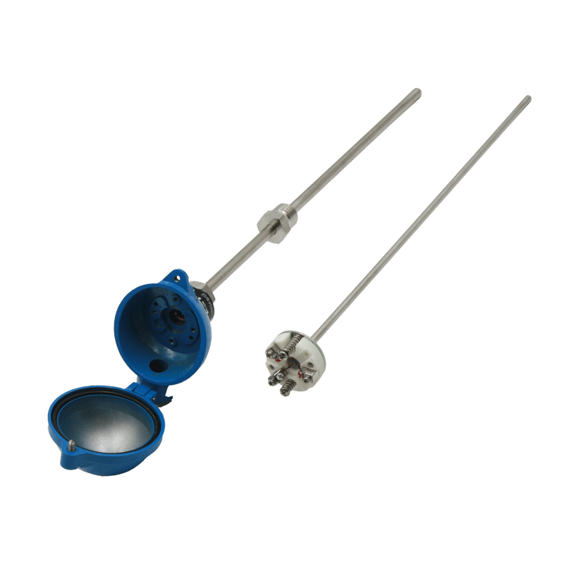 Pt100 probe with interchangeable element with remote head and fitting 1 ...