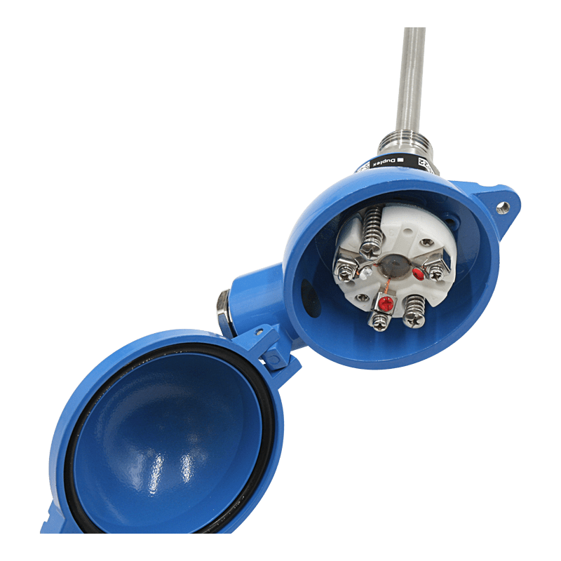 Pt100 probe with interchangeable element with head and fitting 1/2 ...